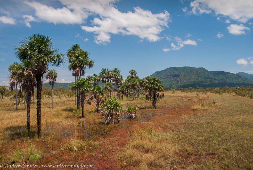 Wapichan people map traditional territories | Guyana Conservation ...