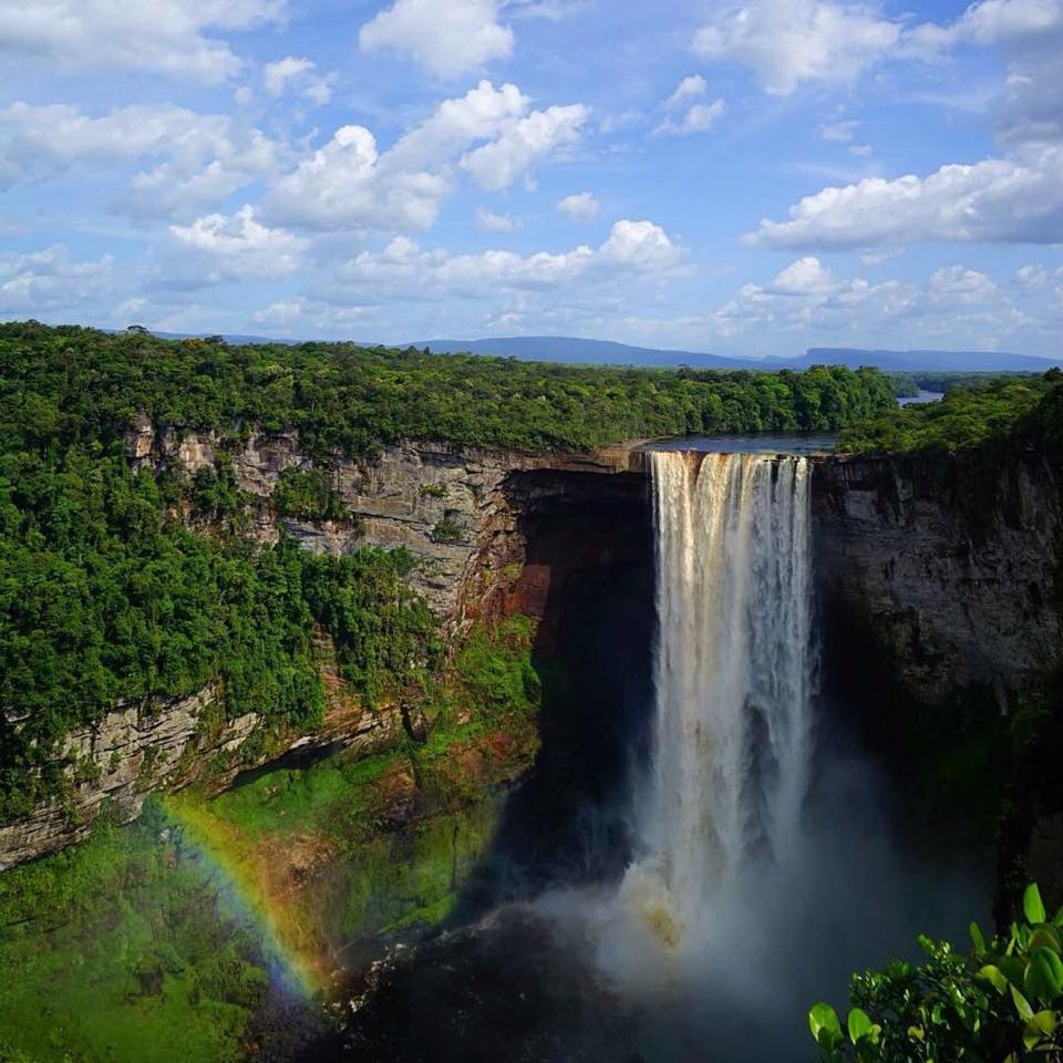 Guyana leads the way for Intact Forest Landscapes | Guyana Conservation ...